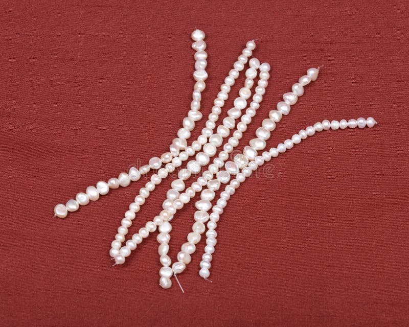 Freshwater pearl necklace stock photo. Image of engagement - 18822298