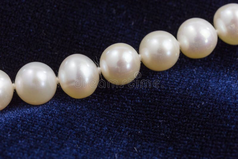 String of pearls stock image. Image of pearls, vertical - 156862515