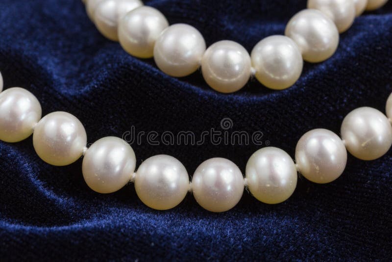 String of pearls stock photo. Image of shiny, vertical - 144838466