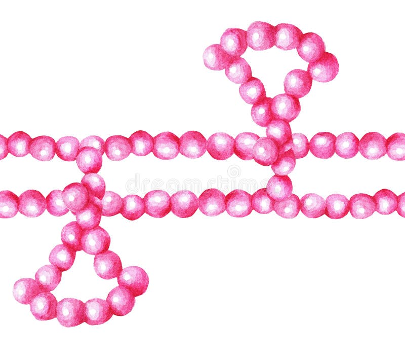 A String of Pearls, Watercolor 3 Stock Illustration - Illustration of ...