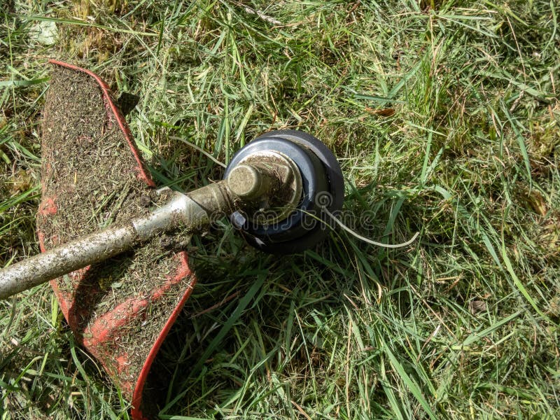 String Trimmer Used To Cut and Mow Grass Outdoors in Summer. Lawn Care ...