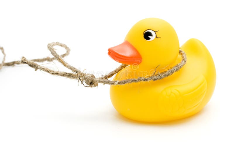 String and yellow duck. stock image. Image of beak, baby - 11985181