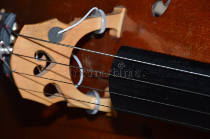 A Stringed Music Instrument Zoom on a Double Bas Stock Image - Image of ...