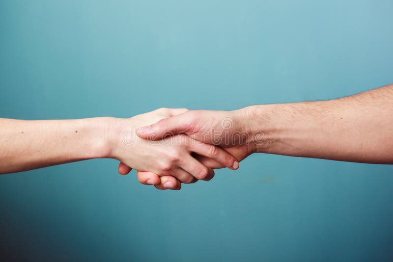 Stringere Le Mani Con Bull Terrier Bianco Immagine Stock - Immagine di ...