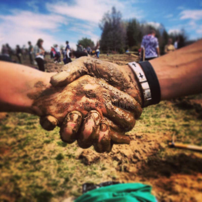 Stringere Le Mani Dopo La Piantatura Immagine Stock - Immagine di parco ...