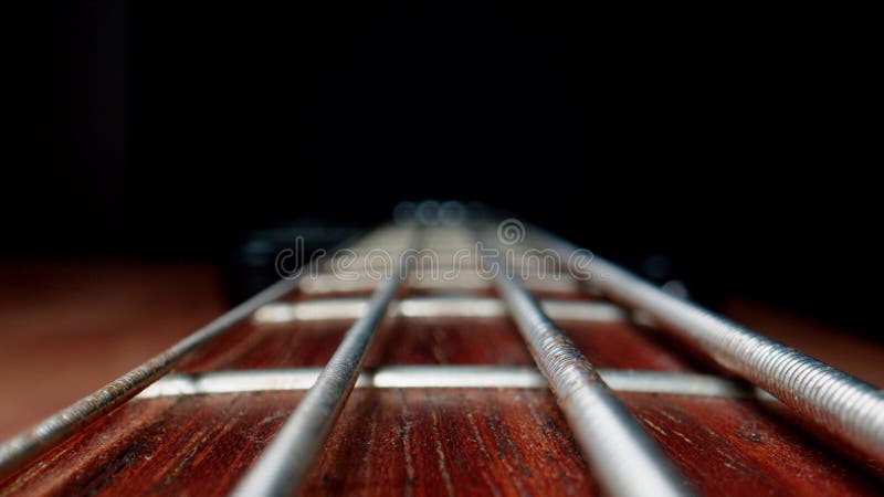 Strings of the Bass : an Effective Macro Perspective: Stock Image ...