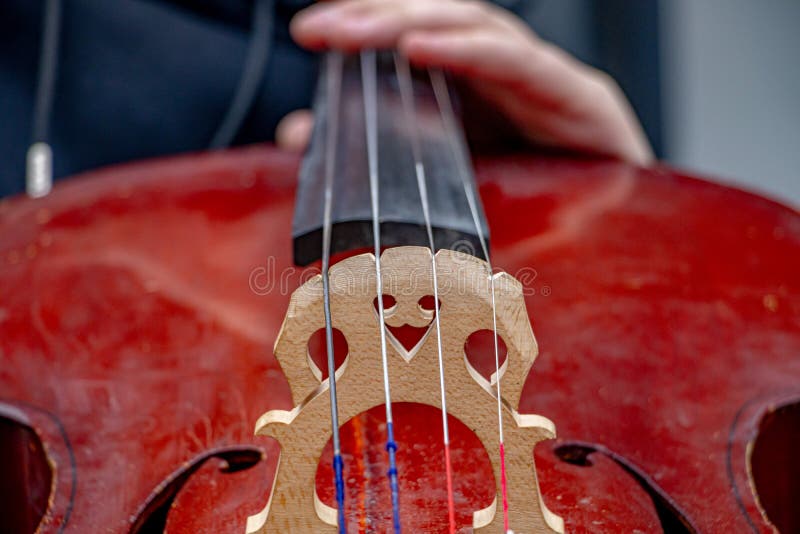 Cello close up stock photo. Image of musician, classical - 85169078