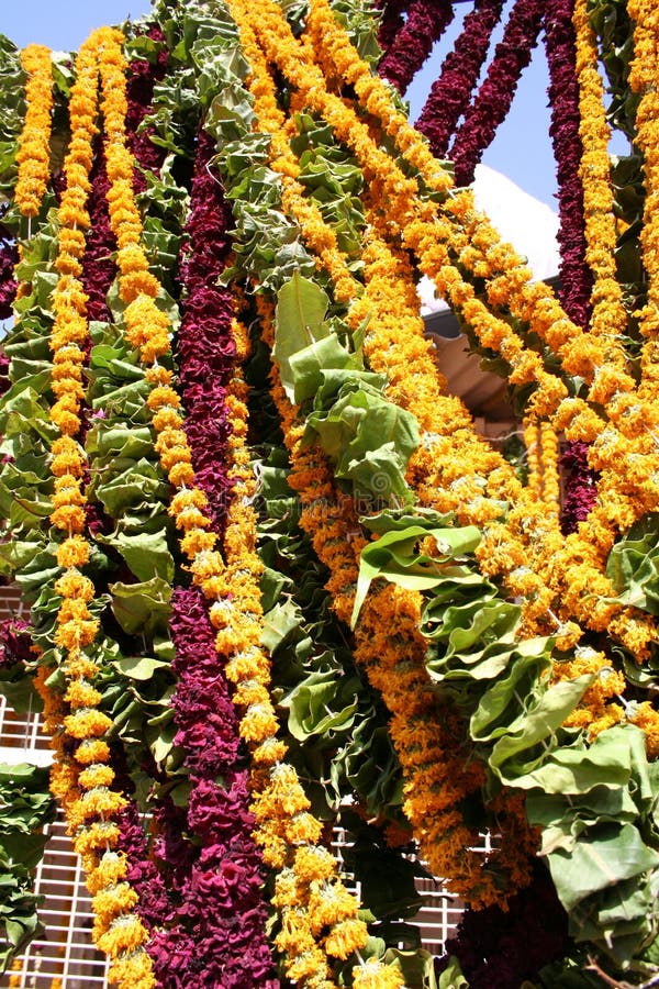Strings of Flowers, Jodhpur, Strings of Flowers, Rajastan Stock Image ...