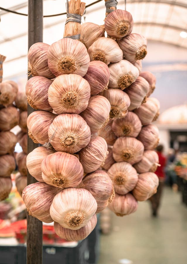 31,287 Garlic Farm Stock Photos - Free & Royalty-Free Stock Photos from ...