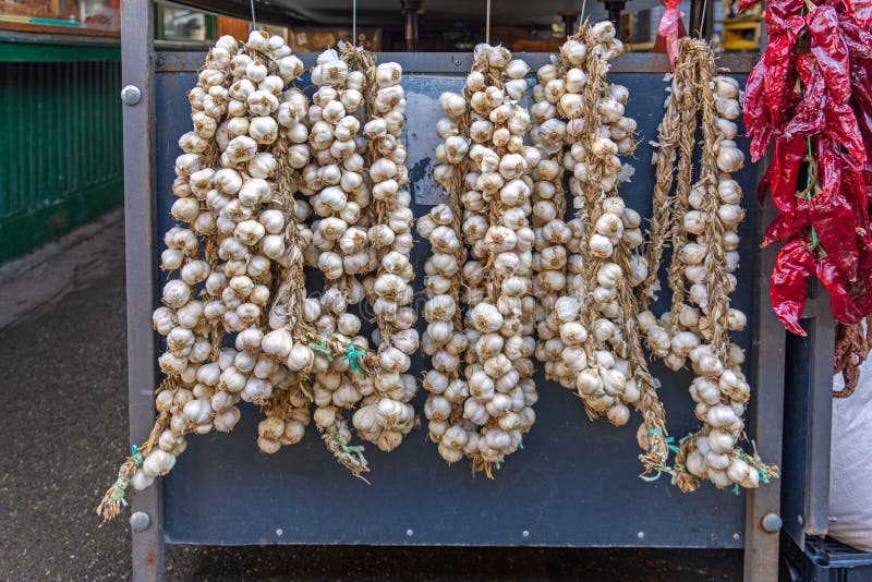Strings of Garlic stock photo. Image of winter, hanging - 266123258