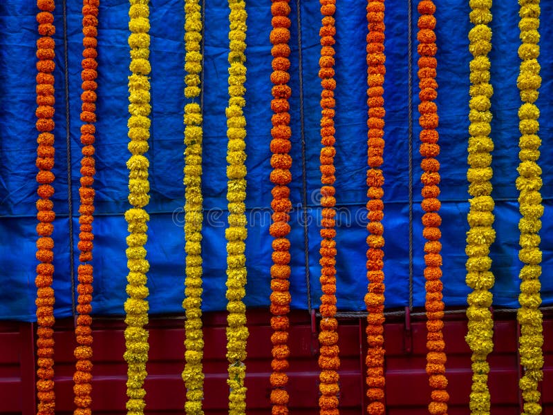 Strings of Orange and Yellow Flowers Stock Photo - Image of indian ...