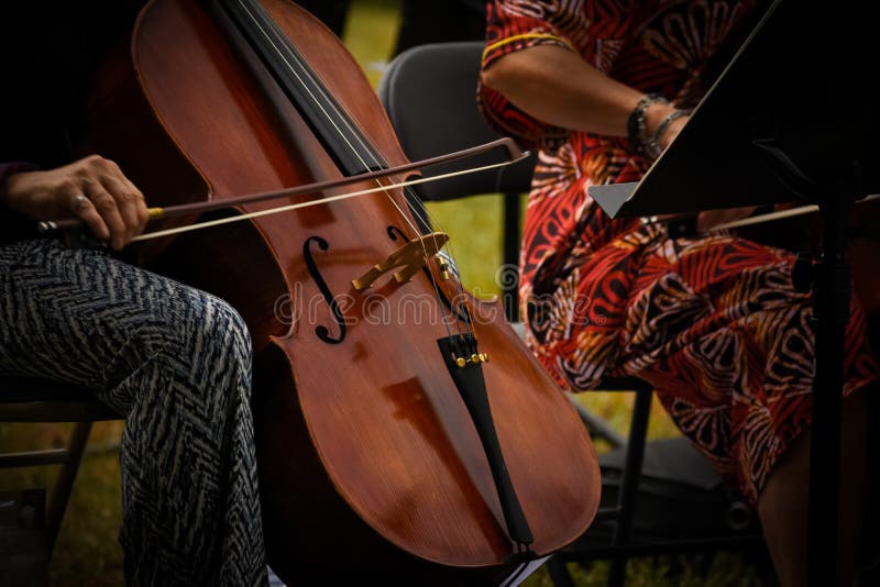 Strings Orchestra Players Cello Details Stock Photo - Image of shine ...