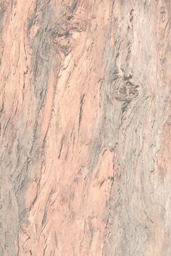 107 Bark Stringy Texture Stock Photos - Free & Royalty-Free Stock ...