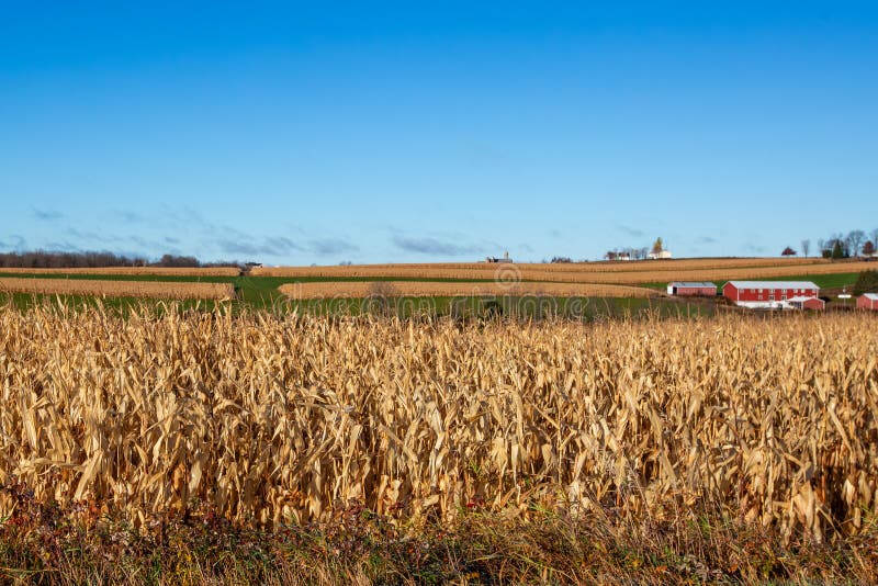Strip Cropping in Wisconsin Farmland in November Stock Photo - Image of ...
