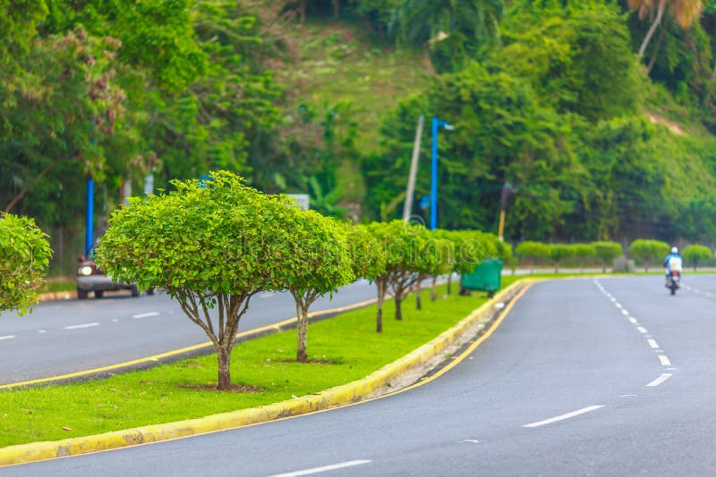Strip with Green Trees and Grass on Asphalt Road Stock Photo - Image of ...