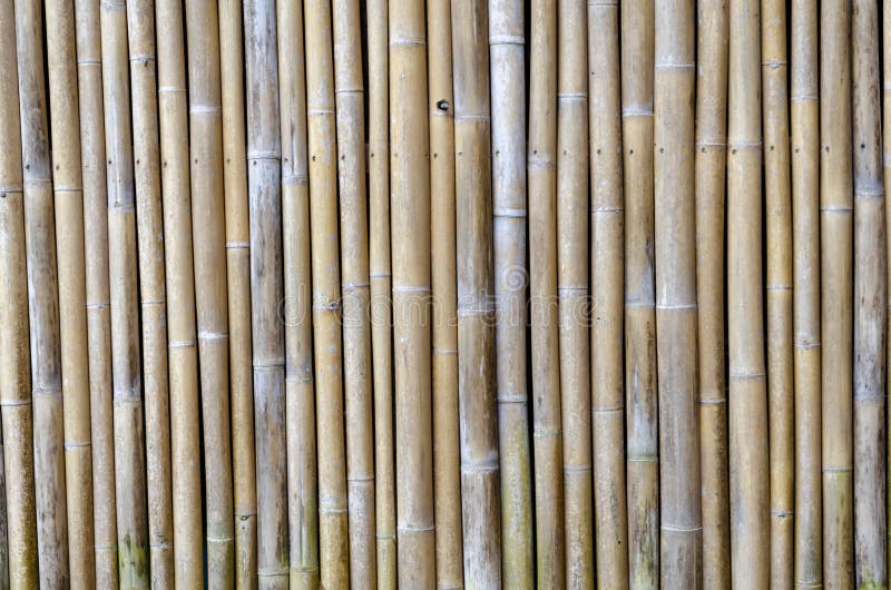527 Bamboo Strip Texture Background Stock Photos - Free & Royalty-Free ...