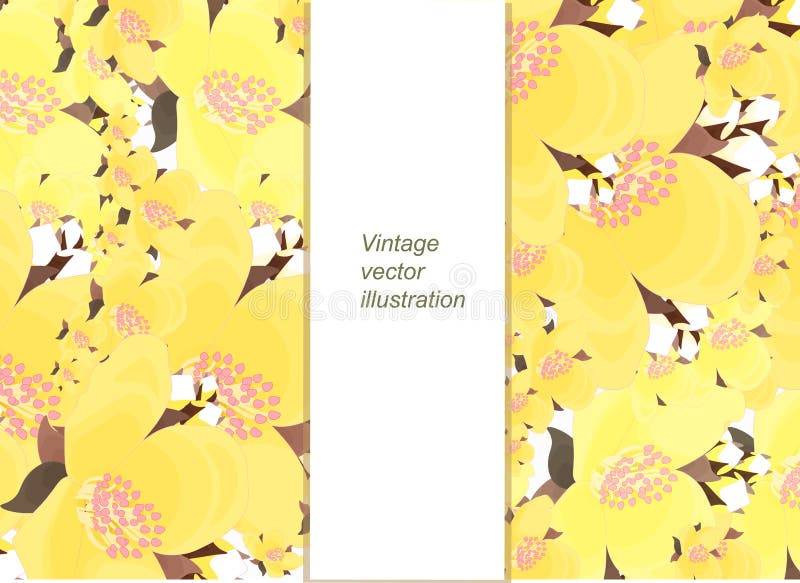 Stripe Floral Pattern with Jasmine for a Card. Stock Vector ...