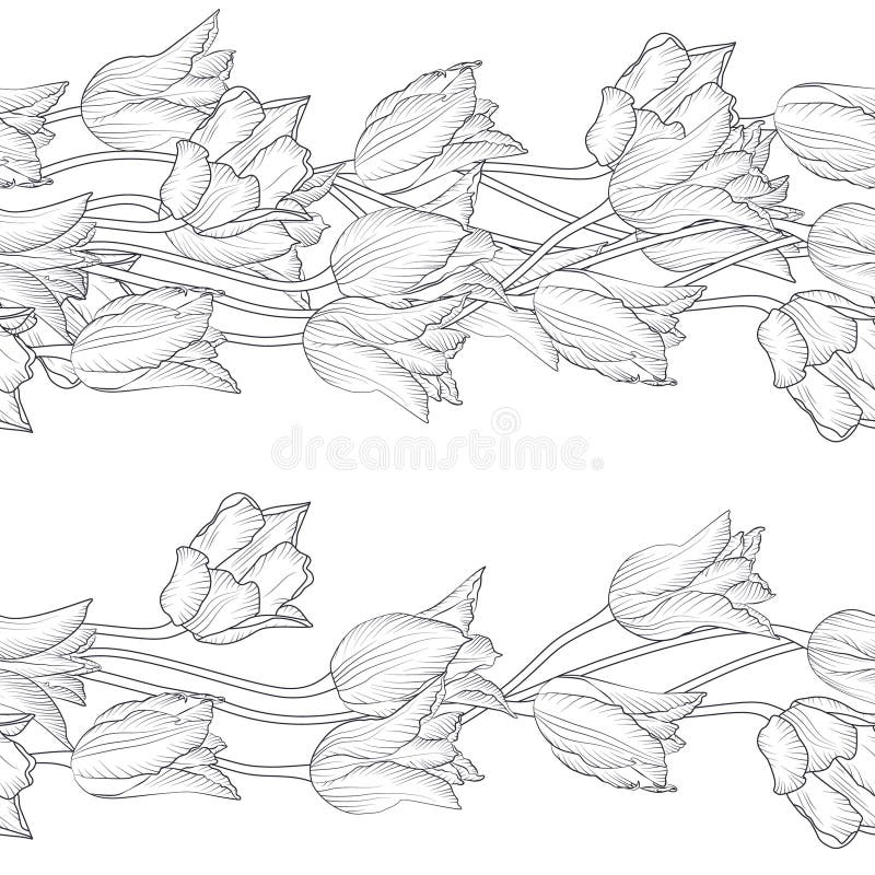 Stripe Pattern with Black and White Linear Tulips. Floral Seamless Border with Hand Drawn Spring ...