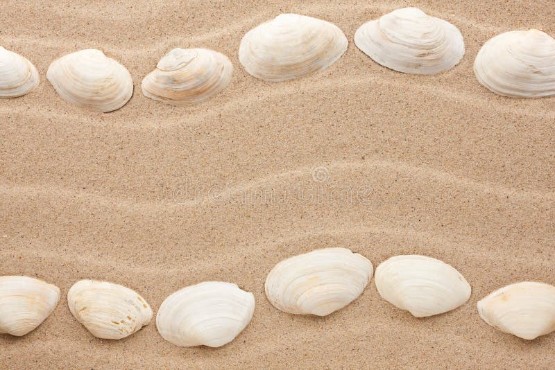 Stripe of Sea Shells Lying on the Sand Stock Photo - Image of pattern ...