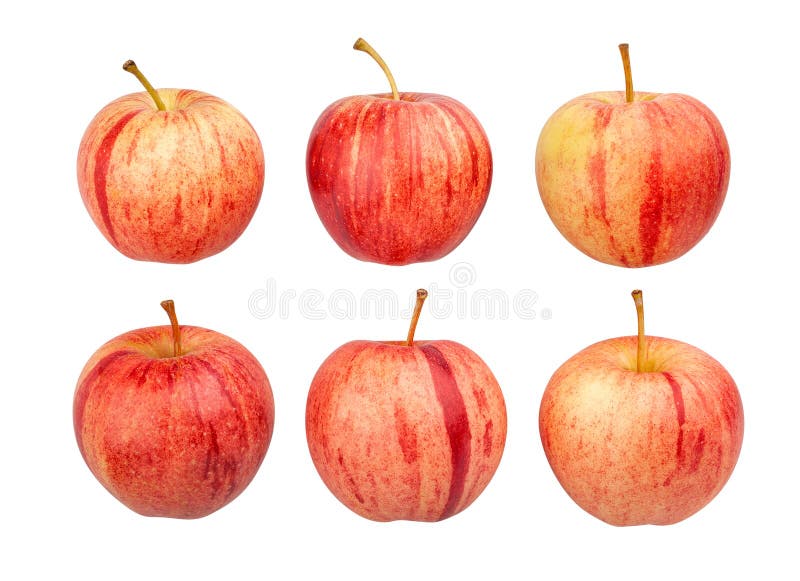 Striped Apple Path Isolated Stock Photo - Image of food, yellow: 307451894