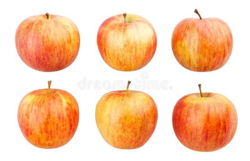 Striped apples stock photo. Image of side, isolated - 112191762