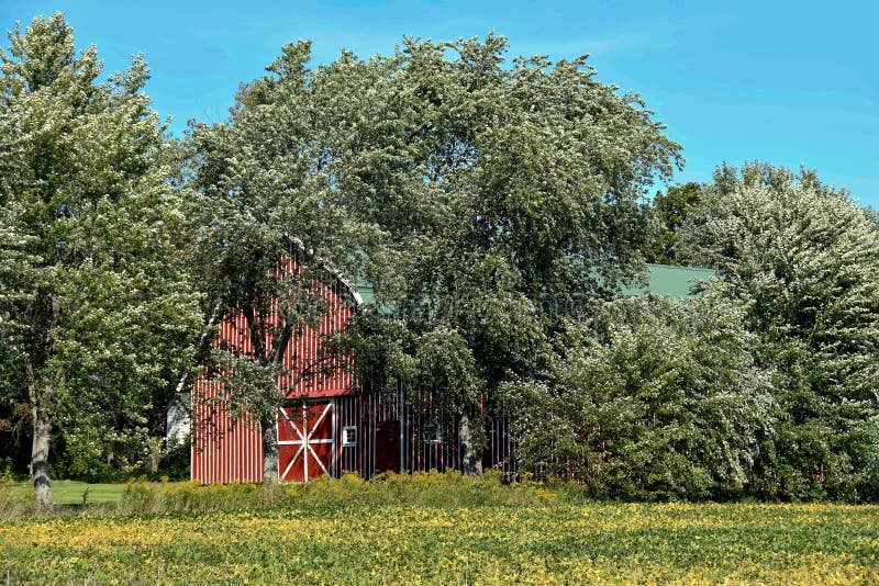 Striped barn in trees stock photo. Image of bold, green - 59722104