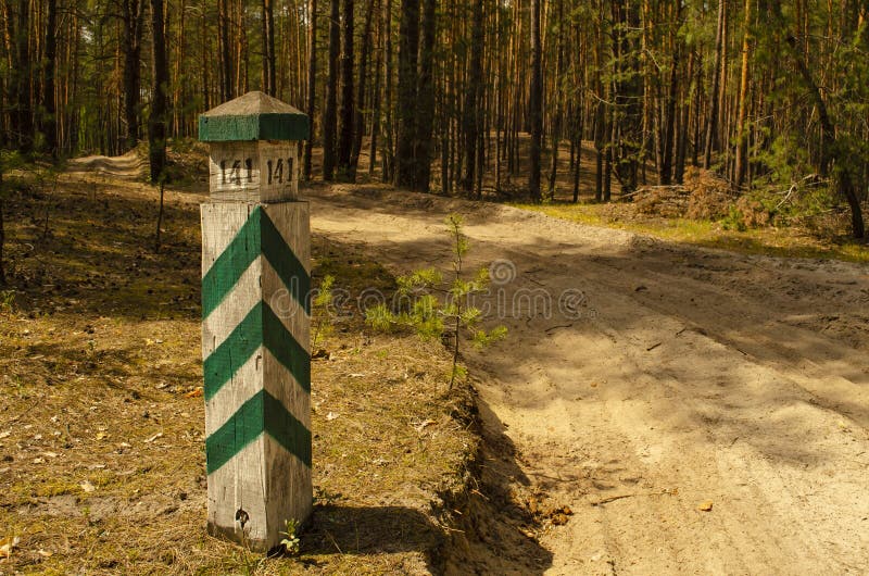 A Striped Border Post in the Forest with a Plot Number. Forest Road ...