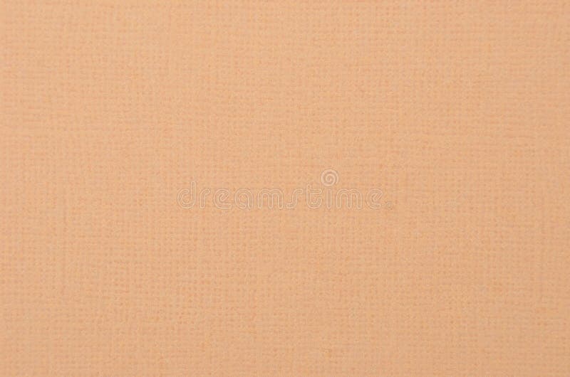 548 Synthetic Cardboard Stock Photos - Free & Royalty-Free Stock Photos ...