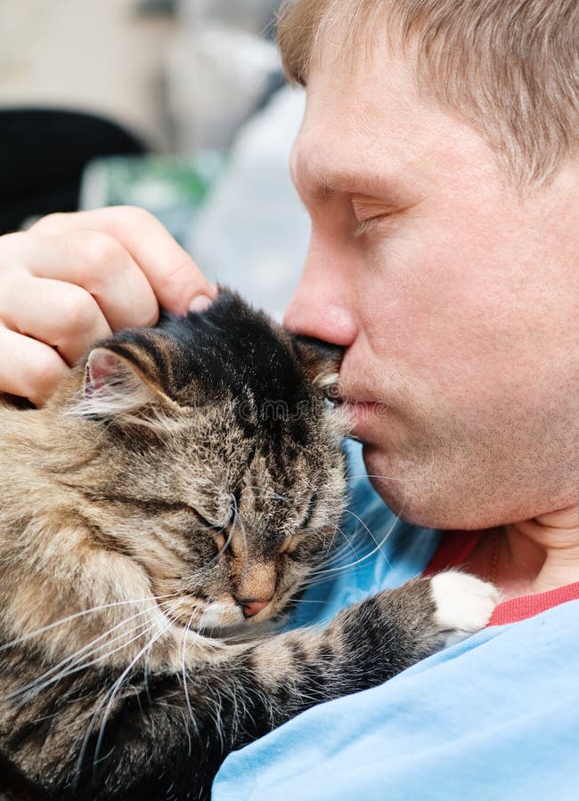 Man with cat stock photo. Image of love, lean, kitty - 29816312