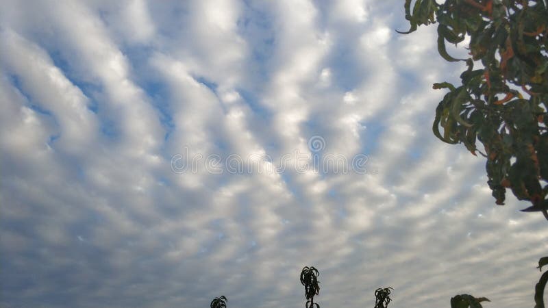 Striped clouds 3 stock image. Image of unusual, shape - 132367063