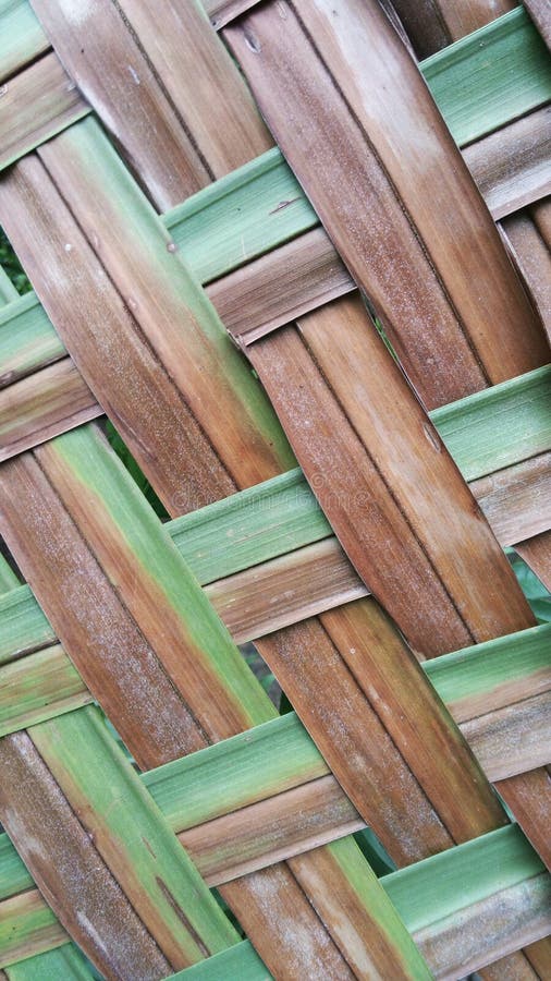 Striped Coconut Leaf Pattern Stock Photo - Image of brown, abstract ...