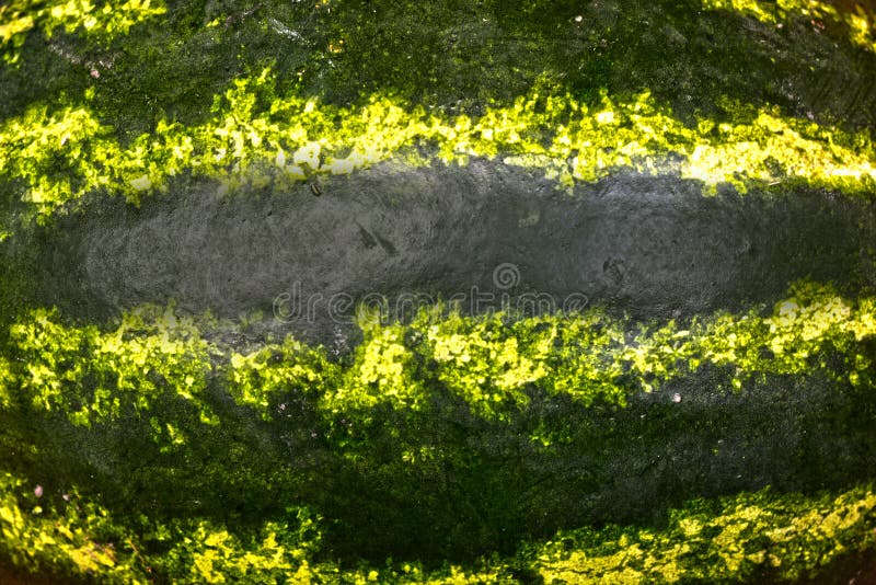 Striped Crust of Watermelon, Background Stock Photo - Image of summer ...