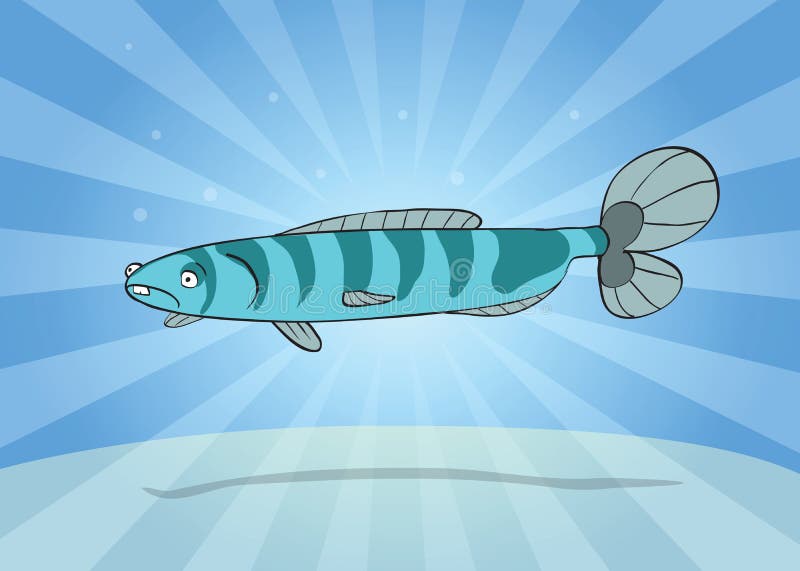 Cartoon Mean Fish Stock Illustrations – 124 Cartoon Mean Fish Stock ...