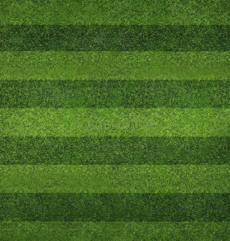 Striped Green Grass Background Image Stock Photo - Image of short, dark ...