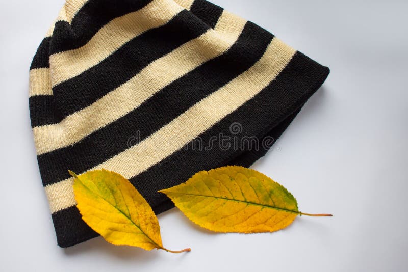 Striped Hat and Autumn Leaves on a White Background. Leaves Fall on a ...