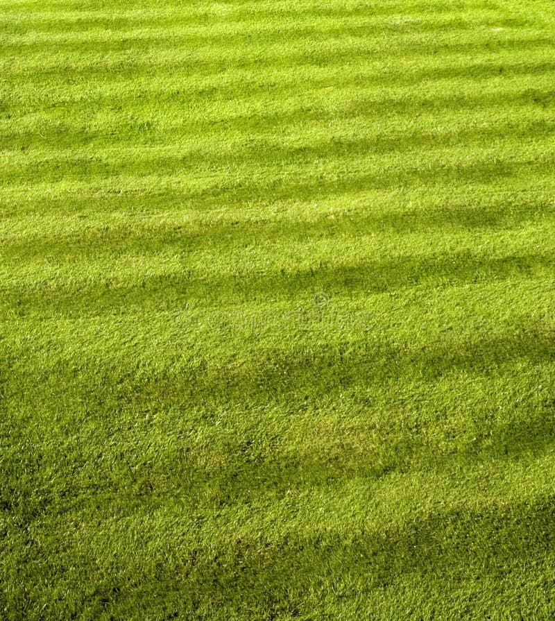 Striped lawn stock image. Image of lawn, gardening, europe - 159153903