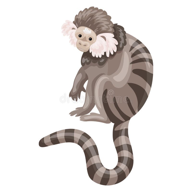 Striped Monkey Icon, Cartoon Style Stock Vector - Illustration of cool ...