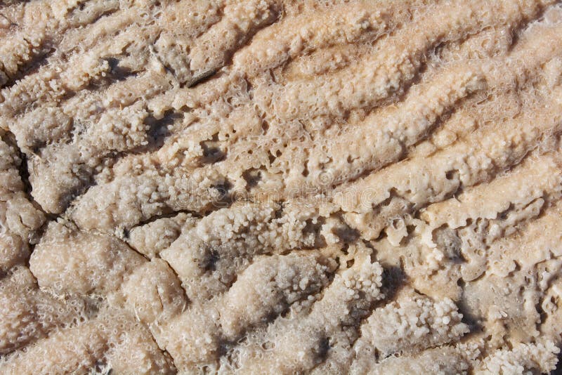 Natural Earth Patterns stock photo. Image of graphic, park - 7835680