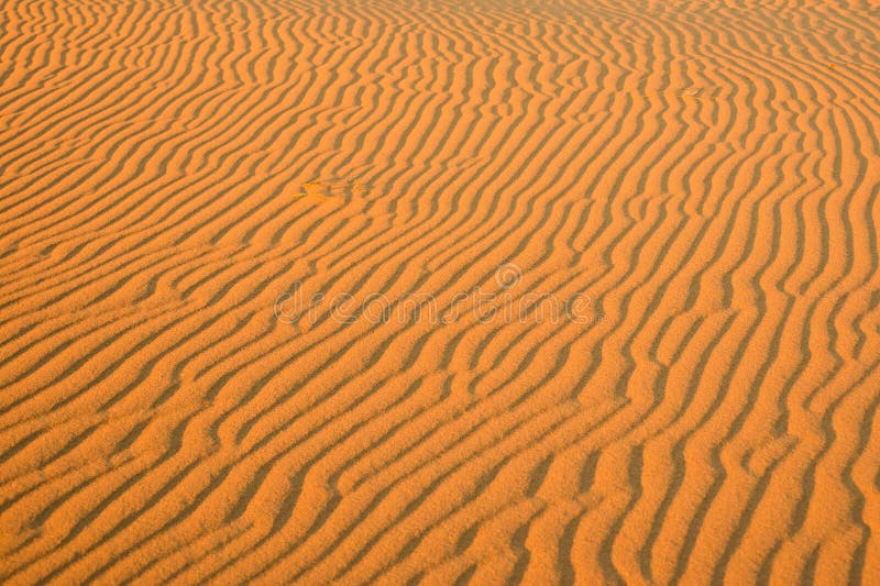 Striped Pattern on a Sand Dune. Soft Focus Stock Photo - Image of ...