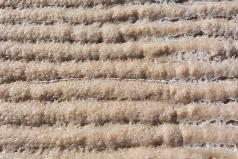 Striped patterns textures stock image. Image of background - 95662807