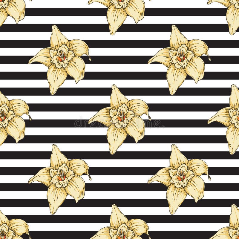 Vanilla Flower Seamless Pattern Stock Illustrations – 1,333 Vanilla ...
