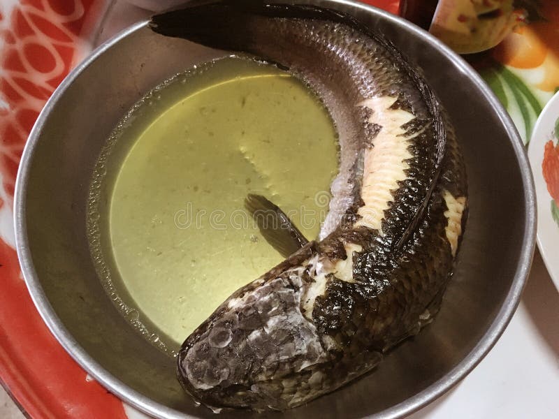 Striped Snakehead Fish Boiled on Iron Dish Stock Image - Image of fish ...