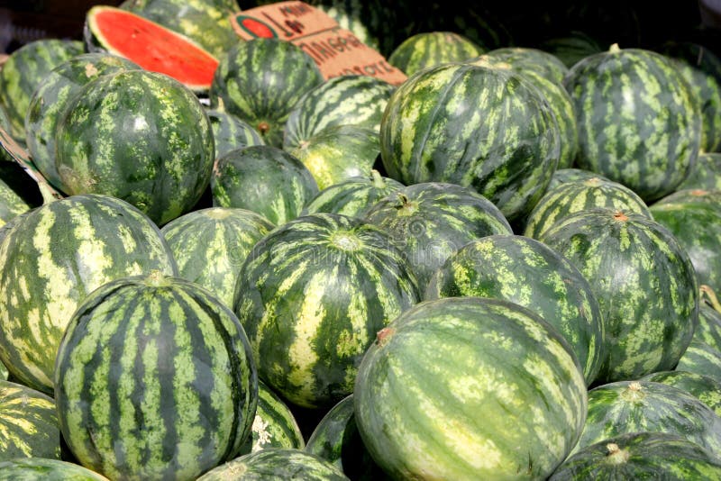 Striped watermelon stock image. Image of food, green - 10600307