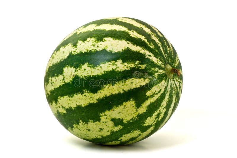 Watermelon stock image. Image of healthy, organic, plant - 1755935