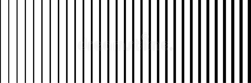 Stripes.Lines from Thin To Thick.straight, Parallel Vertical. Stock ...
