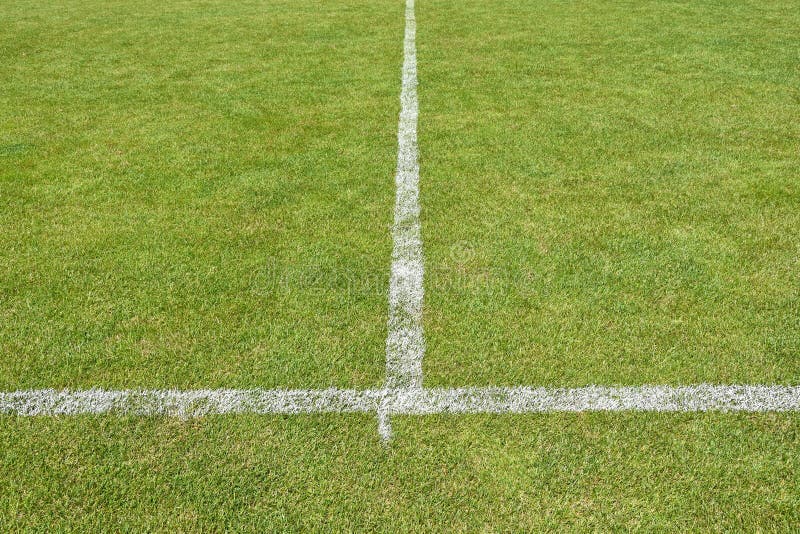 Stripes of the Soccer Field Stock Image - Image of playing, symmetrical ...