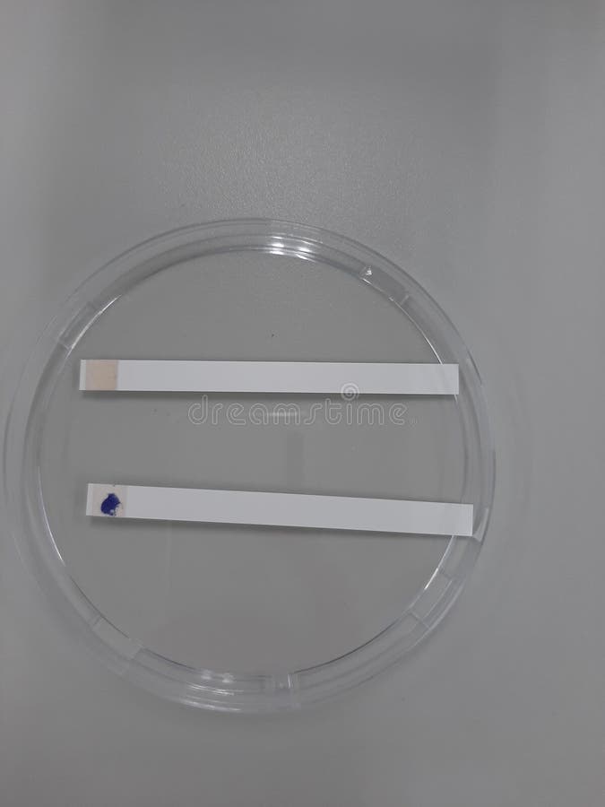 Stripes Tester Indicator with Positive and Negative Result in a Glass ...