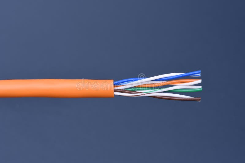 Stripped Computer Network Cable Stock Image - Image of information ...