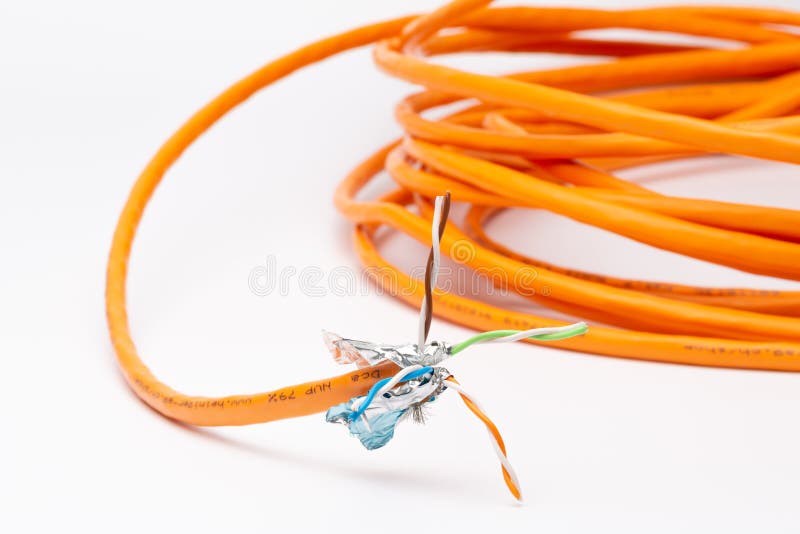 Stripped Ethernet Cable with Twisted Wires Stock Image - Image of ...
