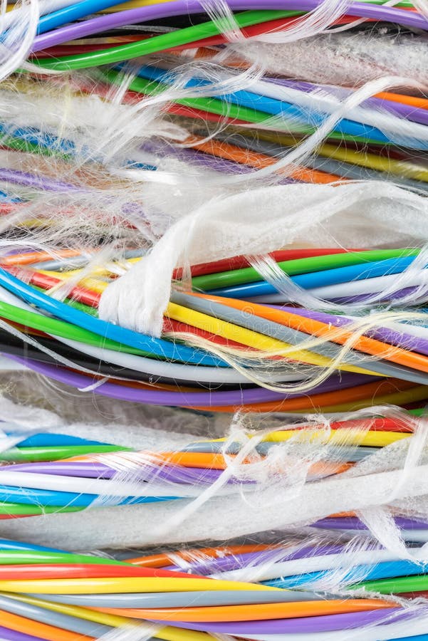 Stripped Multicolored Fiber Optic Cable Network Stock Image - Image of ...